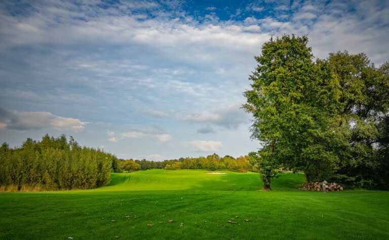 Different Types of Golf Course Grass - Jim's Mowing Australia