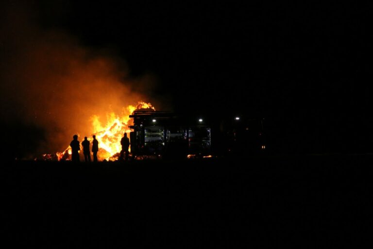 How Do Bushfires Start and Spread? - Jim's Mowing Australia