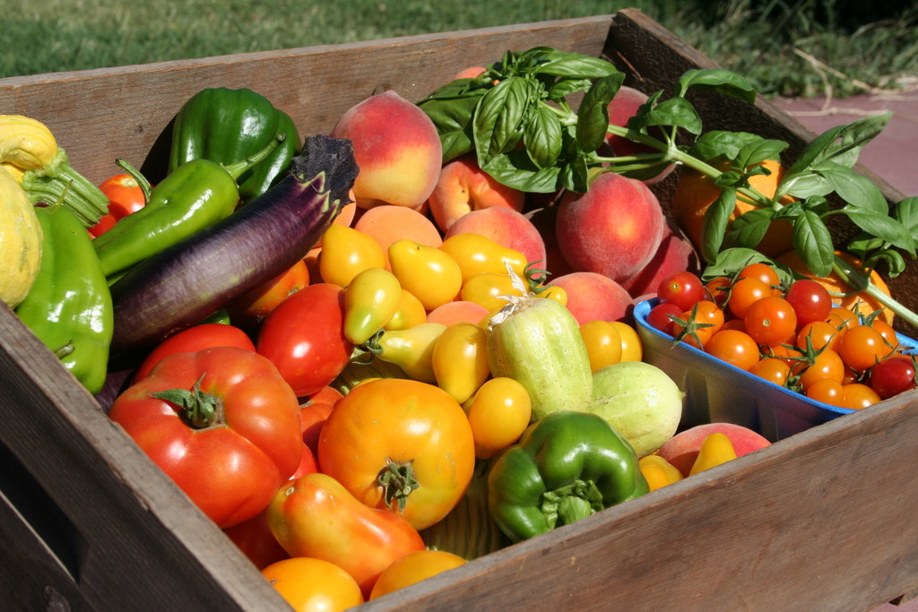 Summer Fruits and Vegetables to Grow - Jim's Mowing Australia