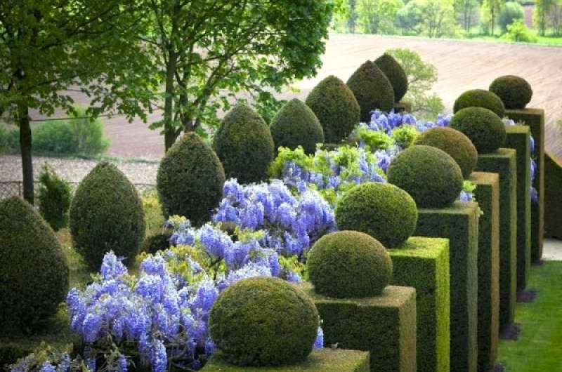 6 Unique Hedge Design Ideas - Jim's Mowing Australia