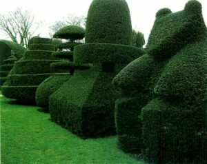 6 Unique Hedge Design Ideas - Jim's Mowing Australia