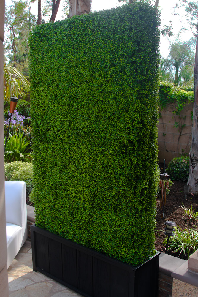 6 Unique Hedge Design Ideas - Jim's Mowing Australia